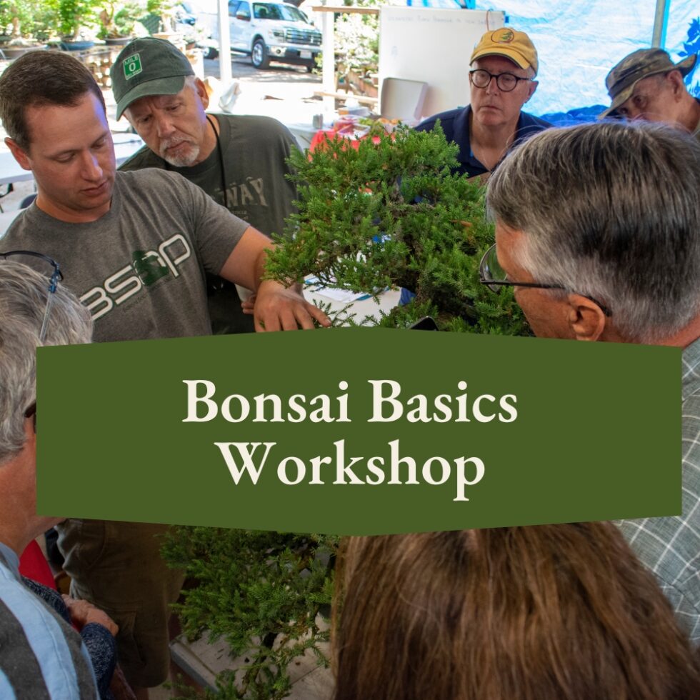 Programs and Events | Shinzen Garden